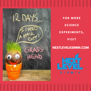 Grow Grass Head - nextlevelkidmin.com